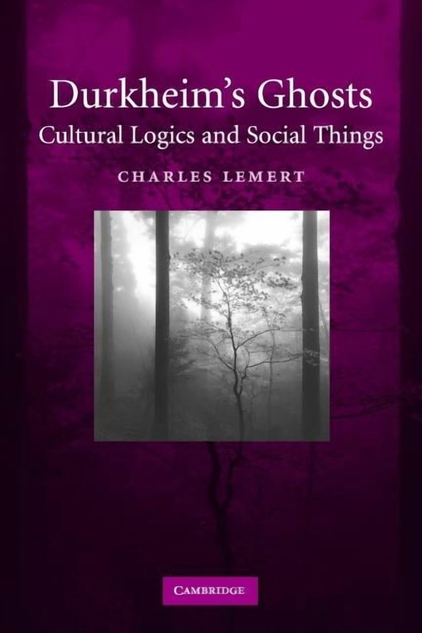 Durkheim's Ghosts: Cultural Logics and Social Things, (Paperback ...