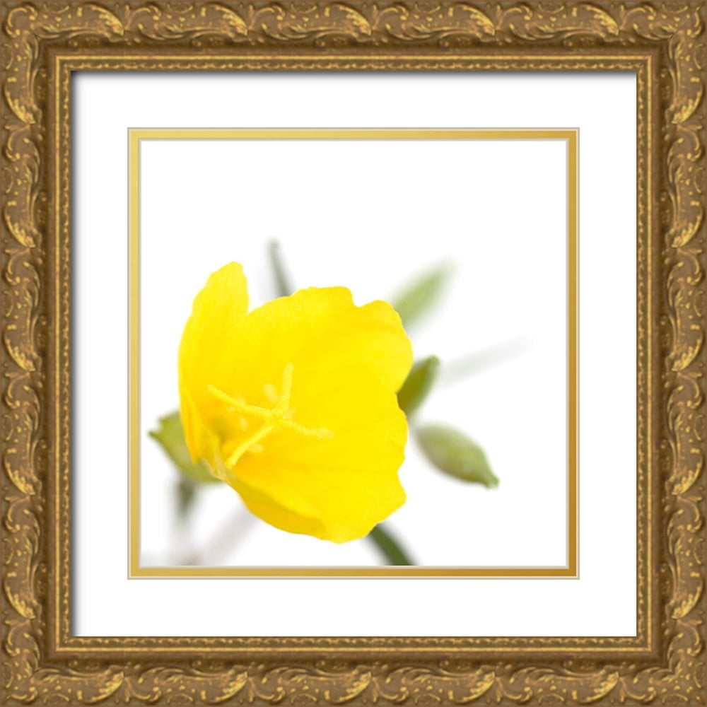 Durnberger, Sonja 15x15 Gold Ornate Wood Framed with Double Matting ...
