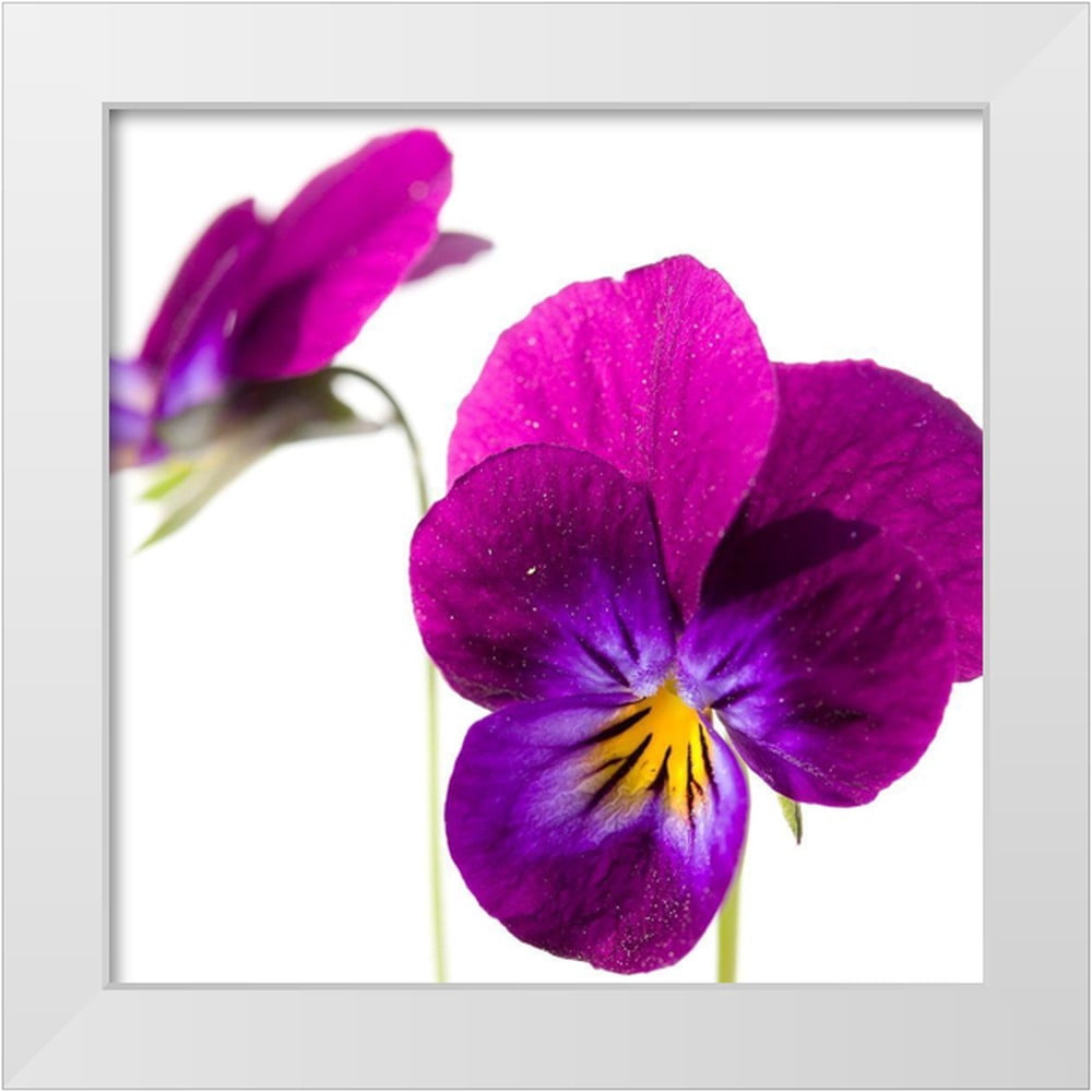Durnberger, Sonja 20x20 White Modern Wood Framed Museum Art Print ...