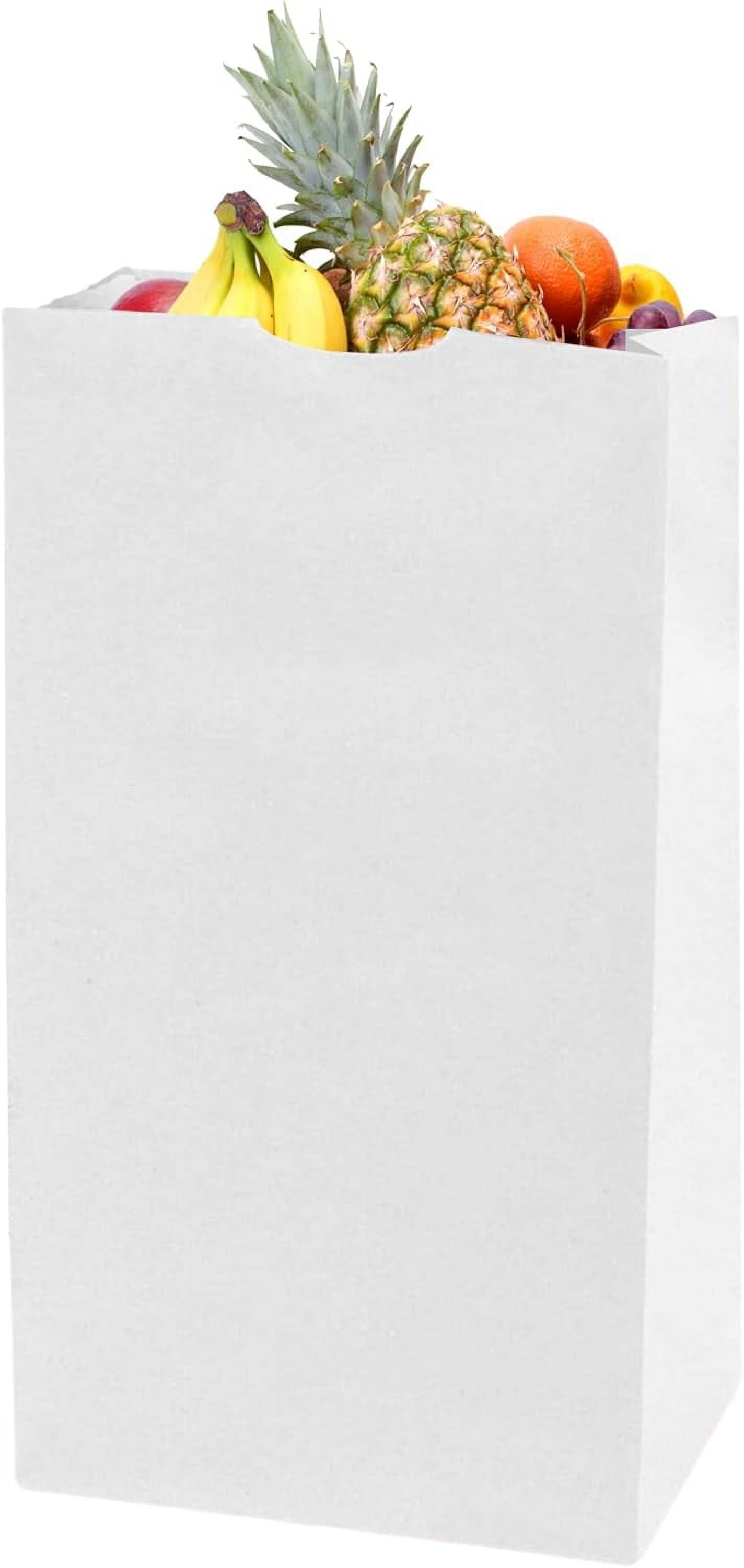 Duro 20# Short Husky Large White Paper Lunch Bags 100 Count, Bulk ...