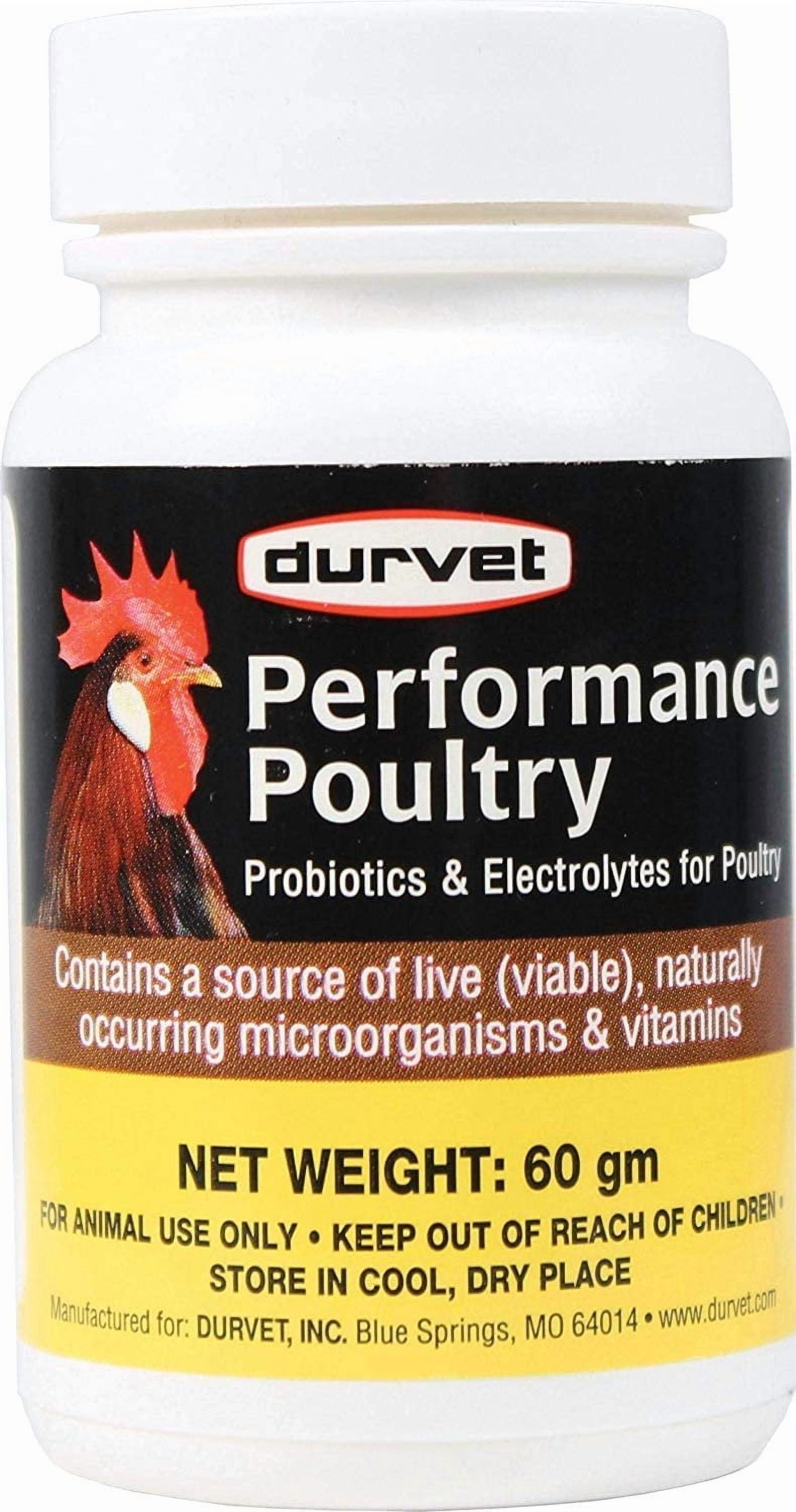 Durvet Healthy Flock Poultry Probiotics - Walmart.com