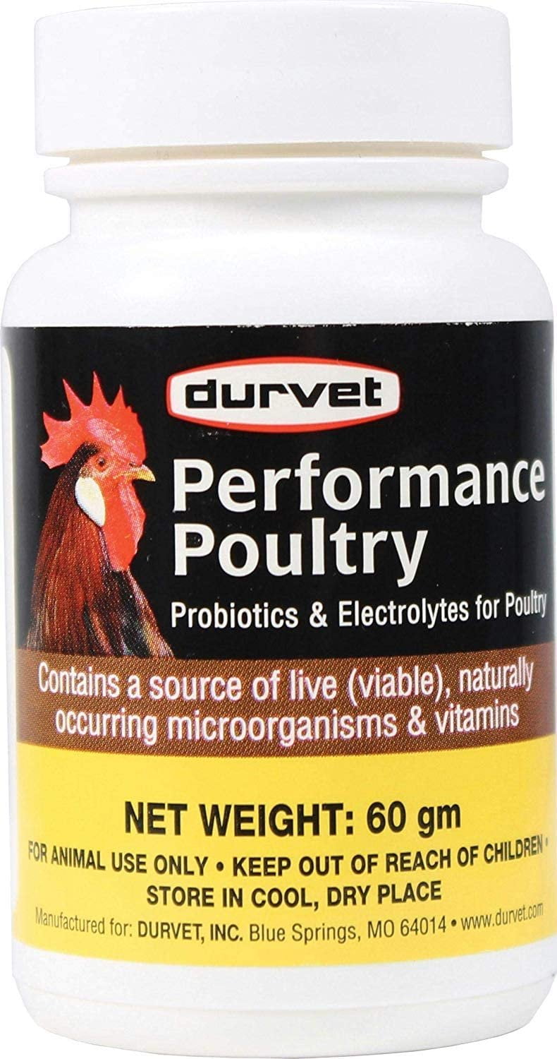 Durvet Healthy Flock Poultry Probiotics - Walmart.com