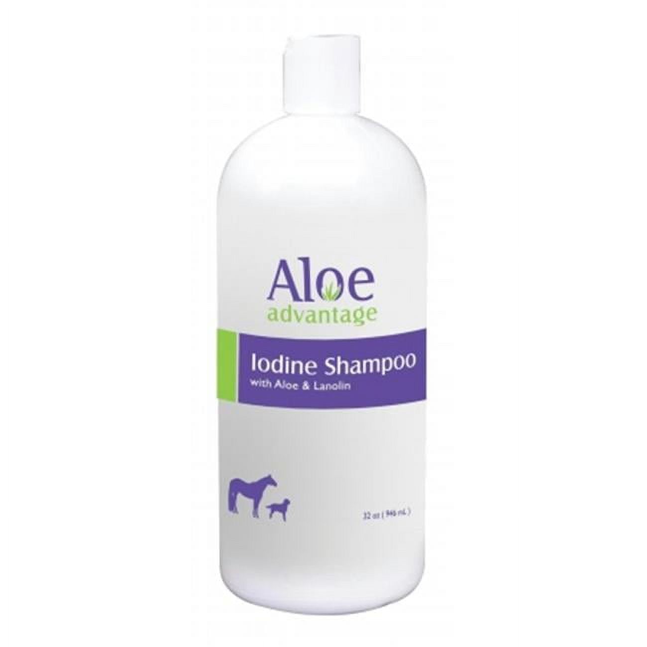 Durvet-equine Aloe Iodine Shampoo 1 Quart - 077-00343 - Walmart.com