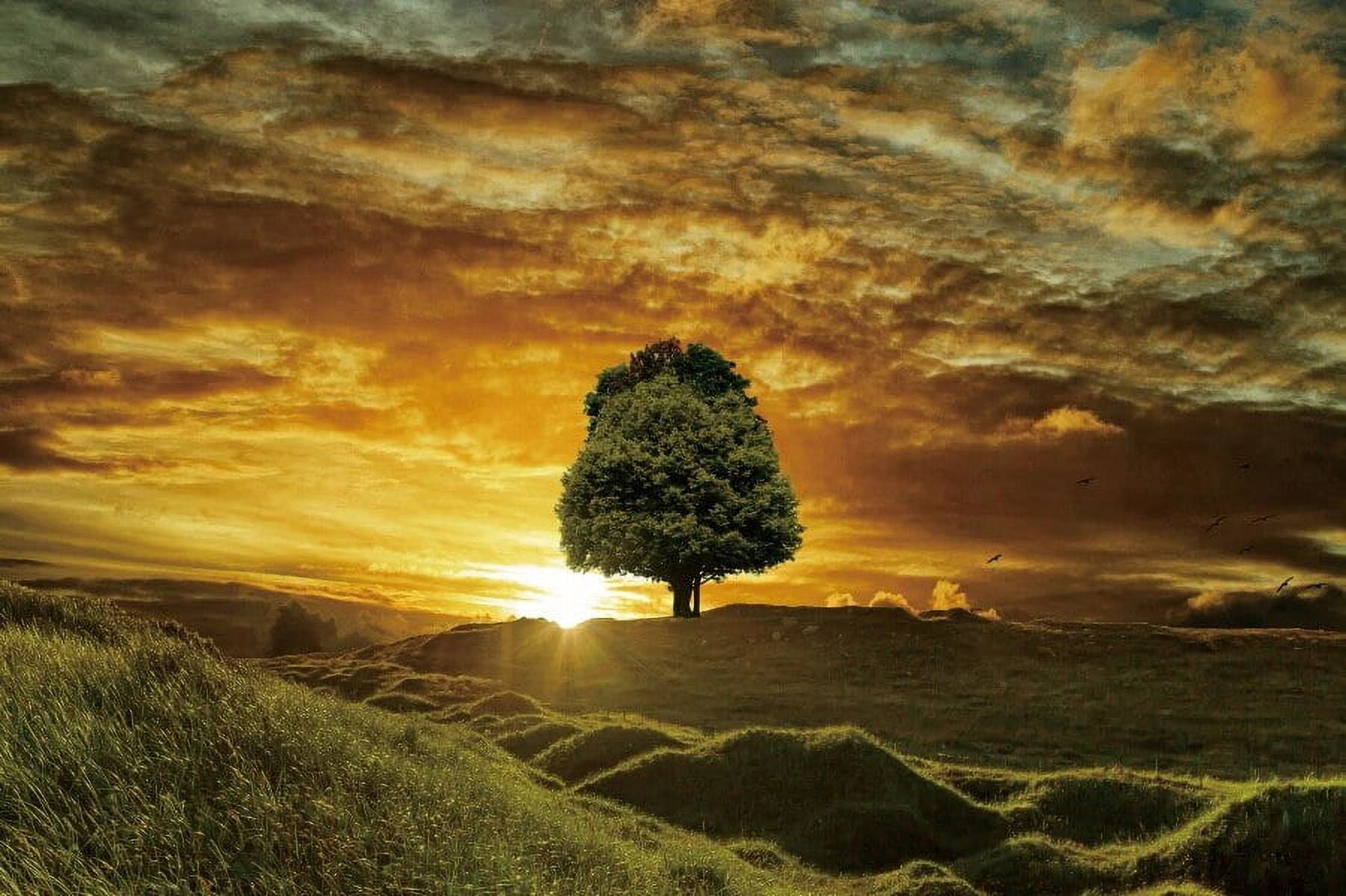 Dusk Grassland Photography Background Sunset Glow Mountains Scenic ...