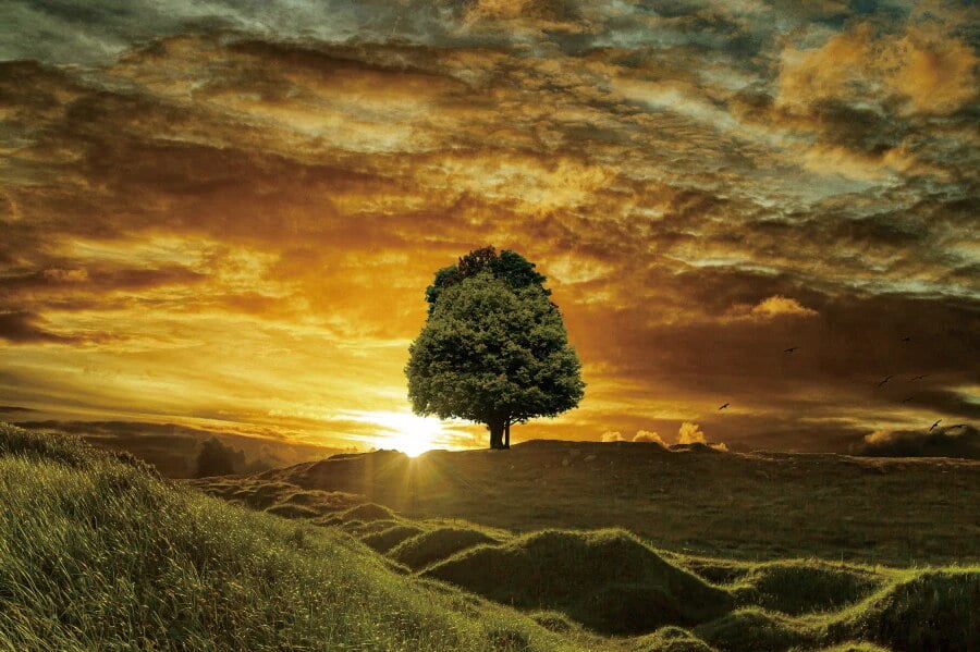 Dusk Grassland Photography Background Sunset Glow Mountains Scenic ...