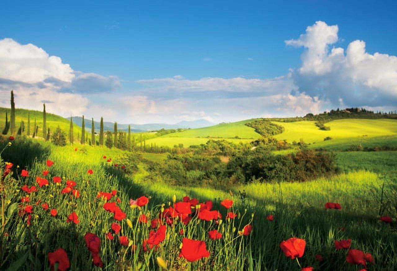 Dusk Prairie Forest Scenic Photography Background Sunset Glow Pink ...
