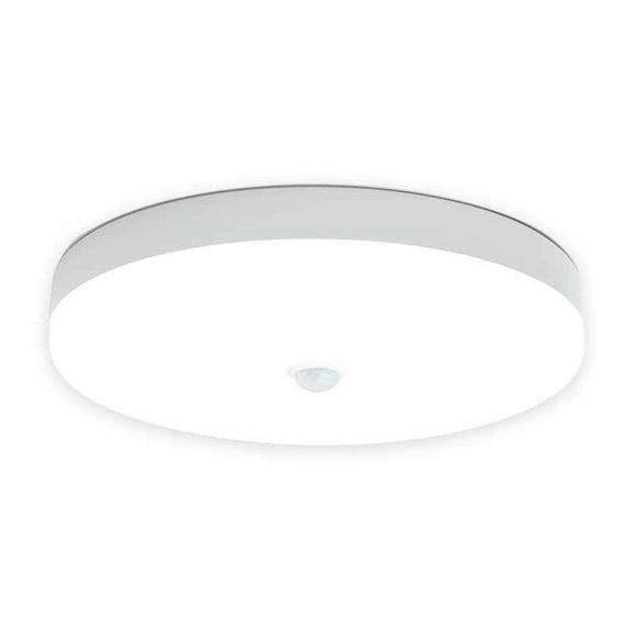 Wireless Ceiling Light