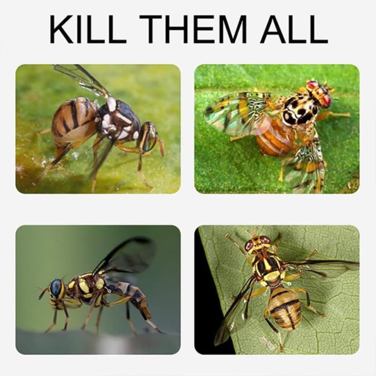 Dusknt Insect Catcher, Insect Traps, Clearance! 2/3/4Pcs Hanging ...