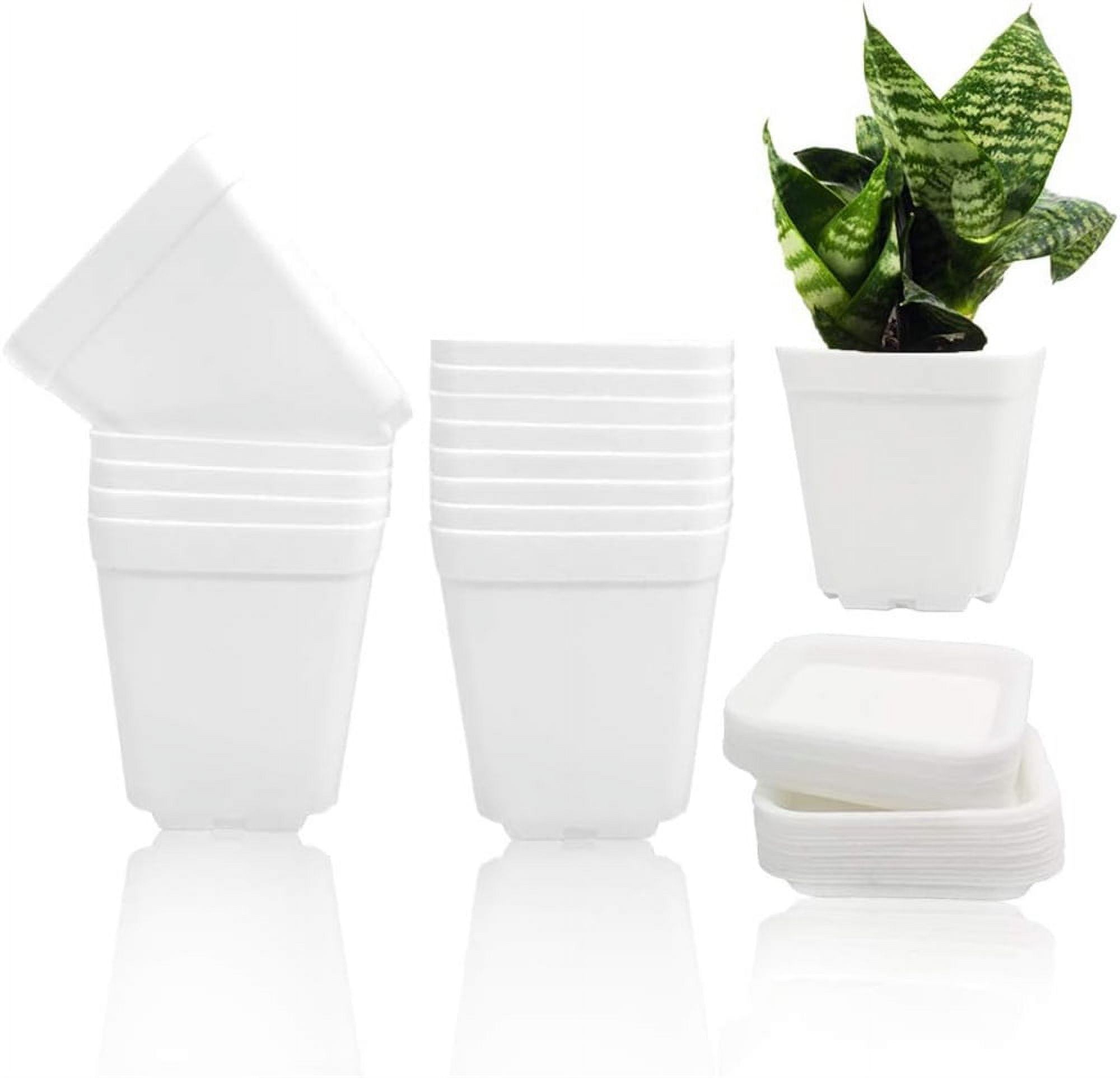 Duslogis 10 Pcs 3 Inch Plastic Plant Pots,White Square Plastic Planters ...