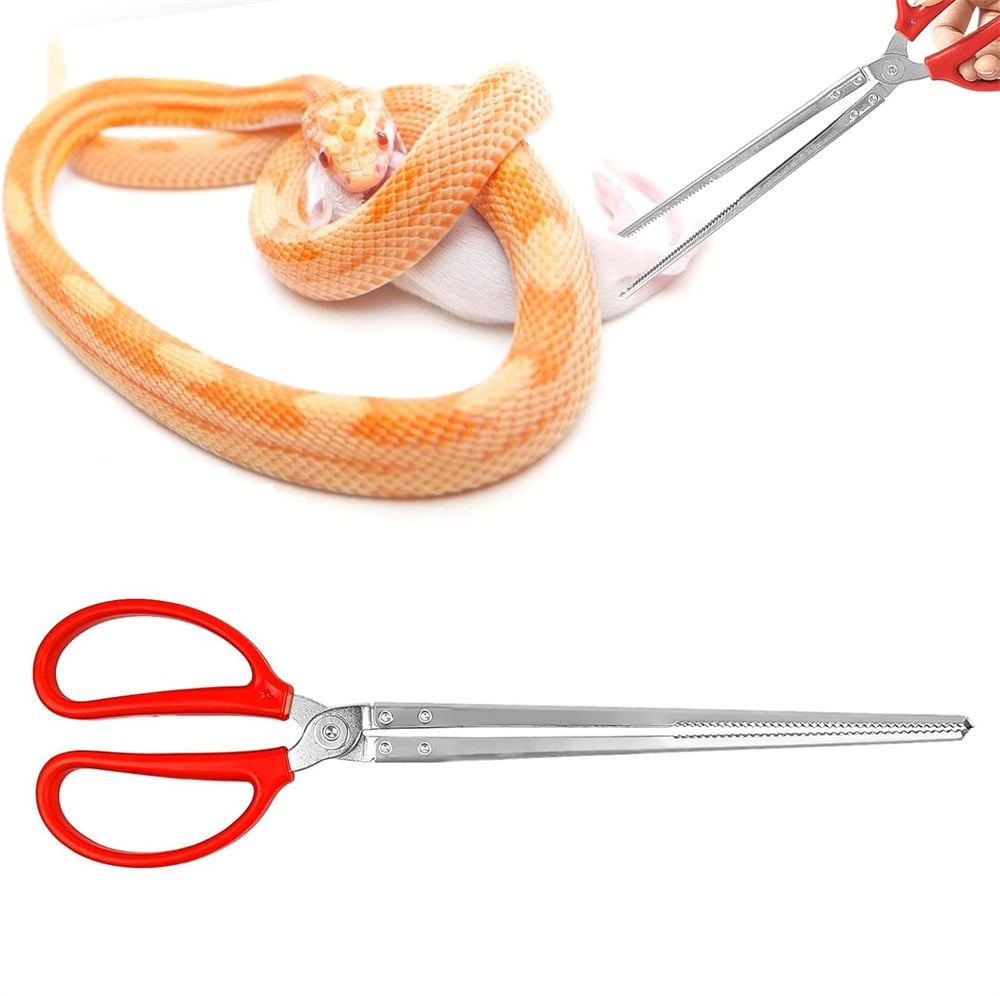 Duslogis 15 Inch Reptile Feeding Tongs, Extra Long Large Snake Feeding ...