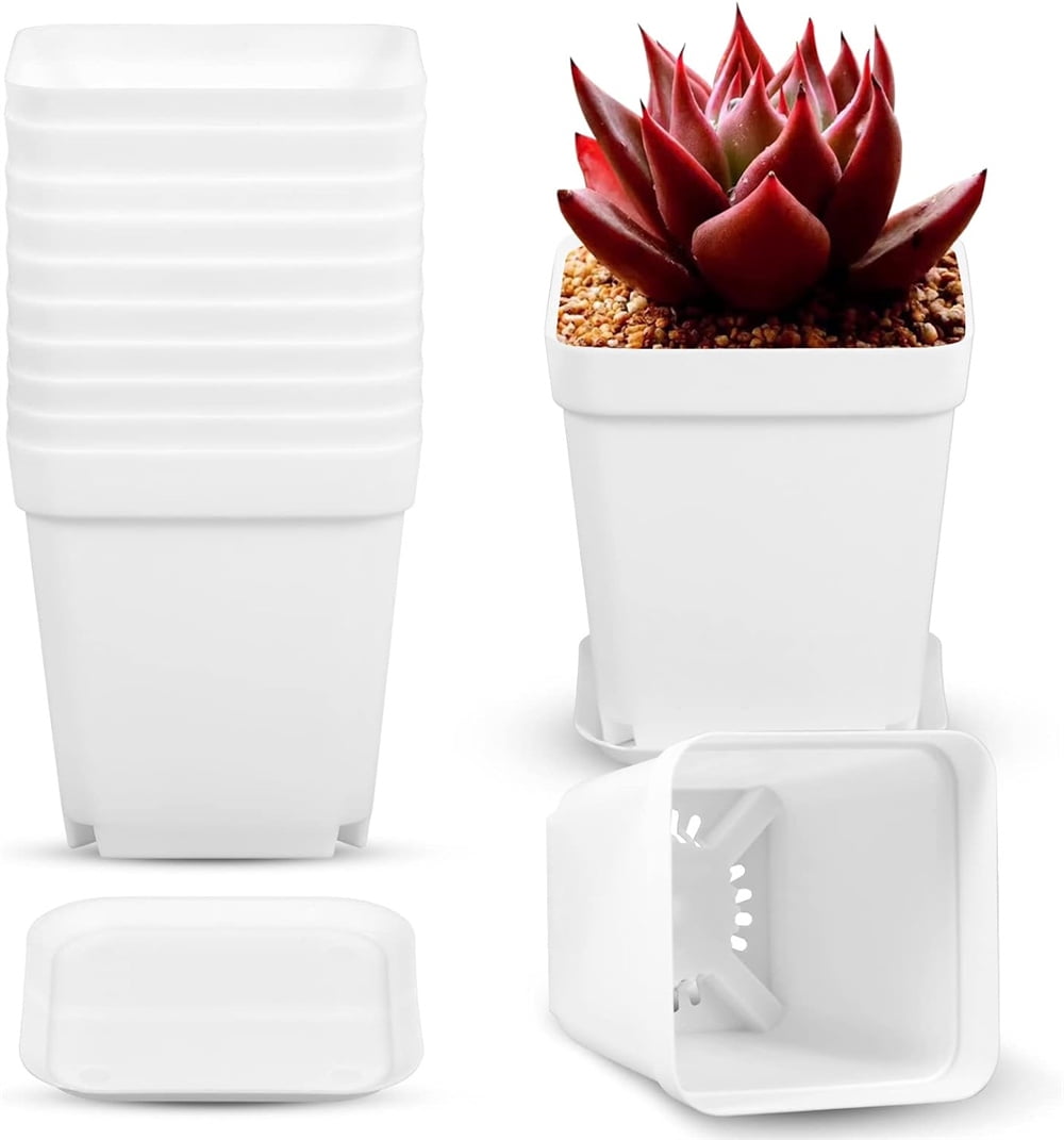 Duslogis 2.7 Inch Square Plastic Nursery Pots 10Pcs White Small Plant ...