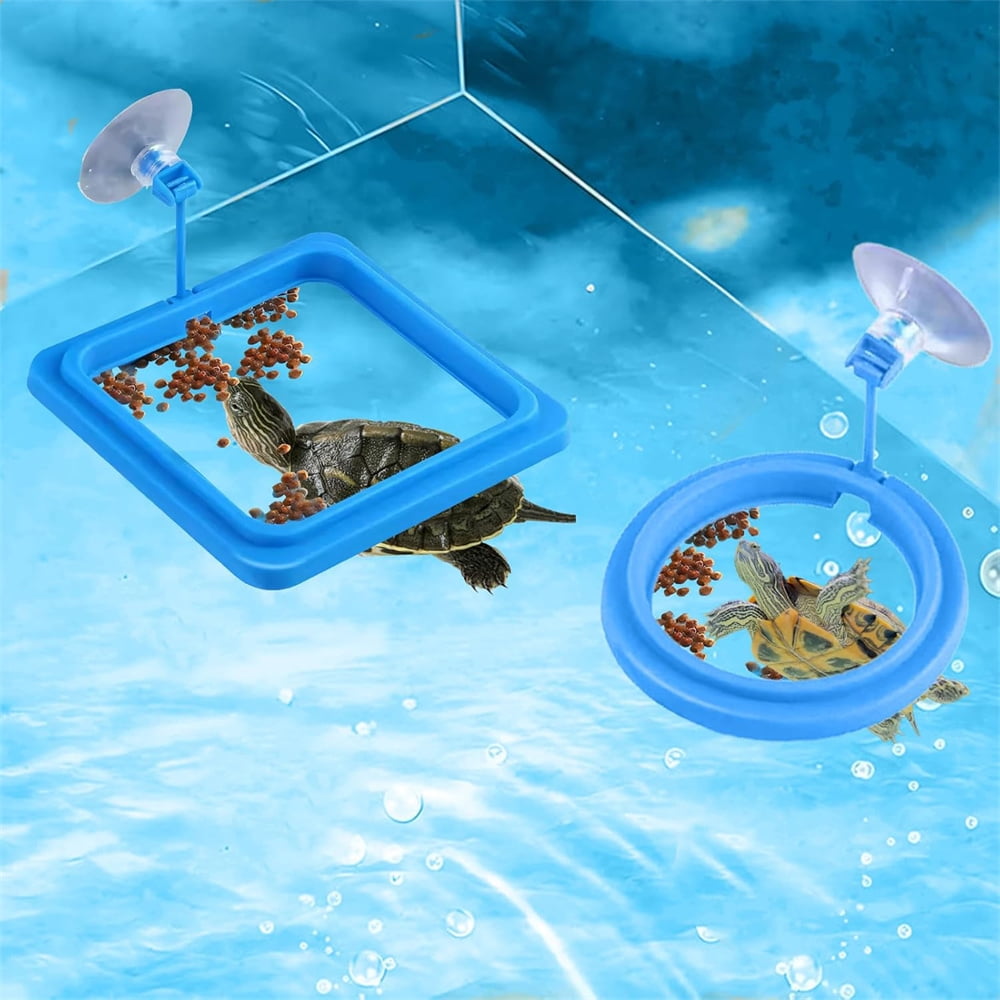 Duslogis 2 Pcs Fish Feeding Ring for Aquarium – Round and Square ...