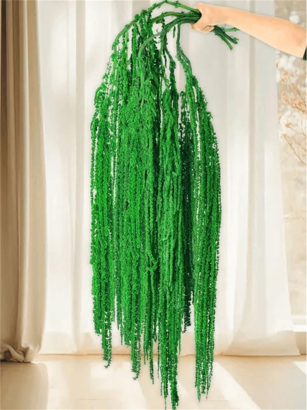 Duslogis 5 Pcs Bleached Wisteria Vine Hanging Dried Flowers, 16''-28 ...