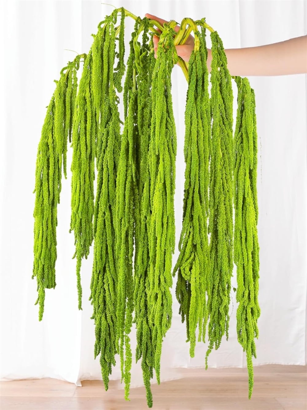 Duslogis 5 Pcs Real Preserved Amaranthus Hanging Wedding Flowers - 16 ...