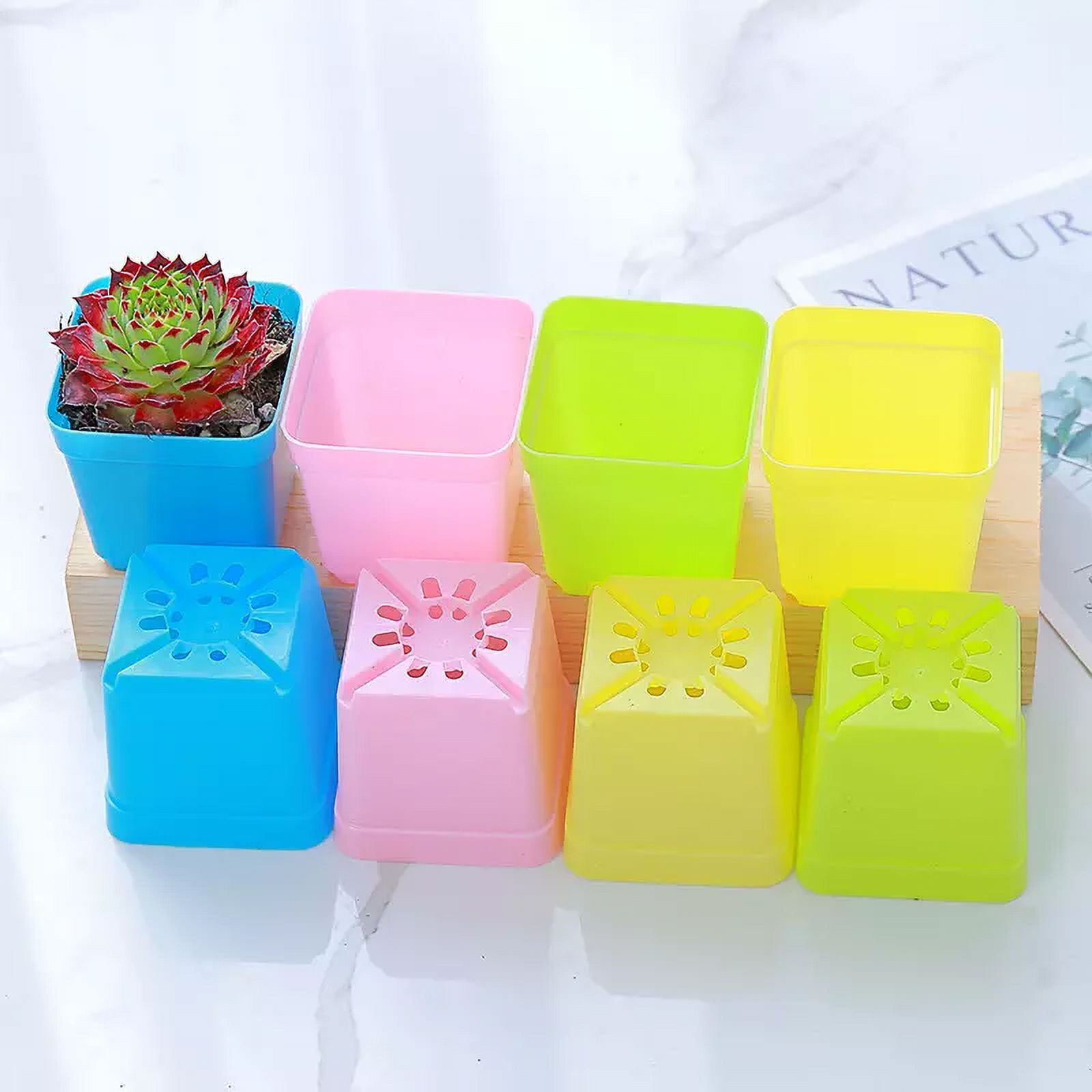 Duslogis 8Pcs Colorful Square Plastic Plant Pot, Planter, Flower Pot ...