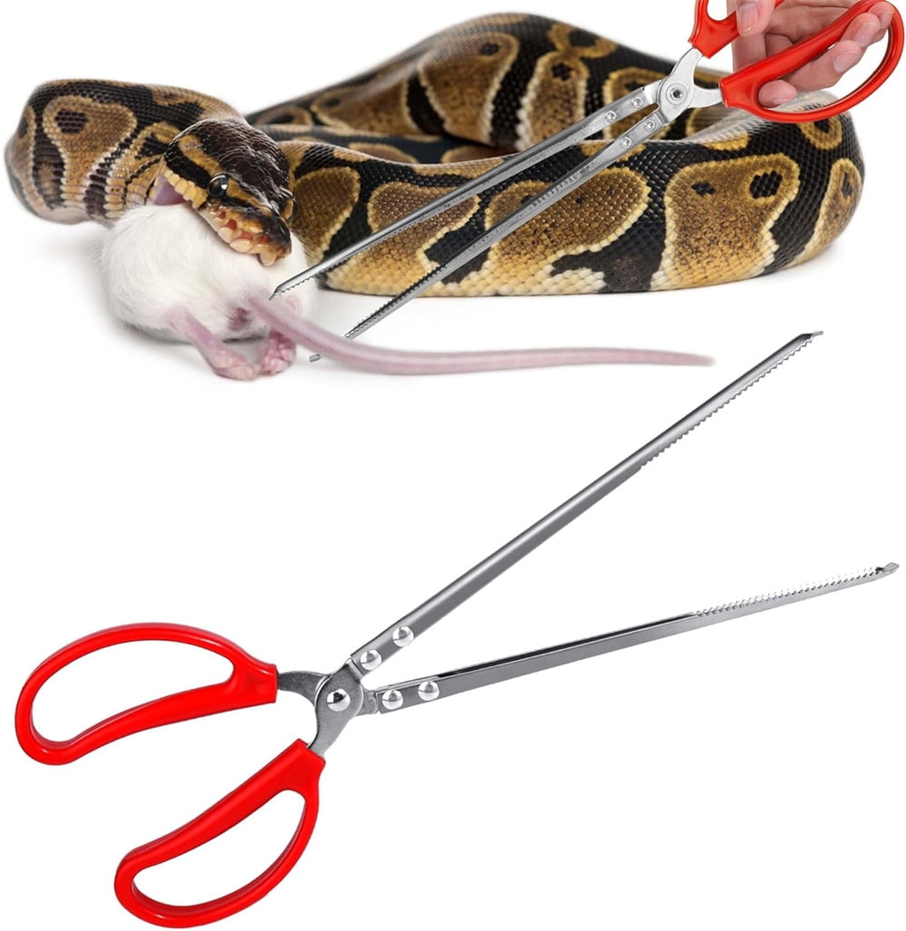 Duslogis Heavy Duty Snake Feeding Tongs,15" Extra Long Stainless Steel ...