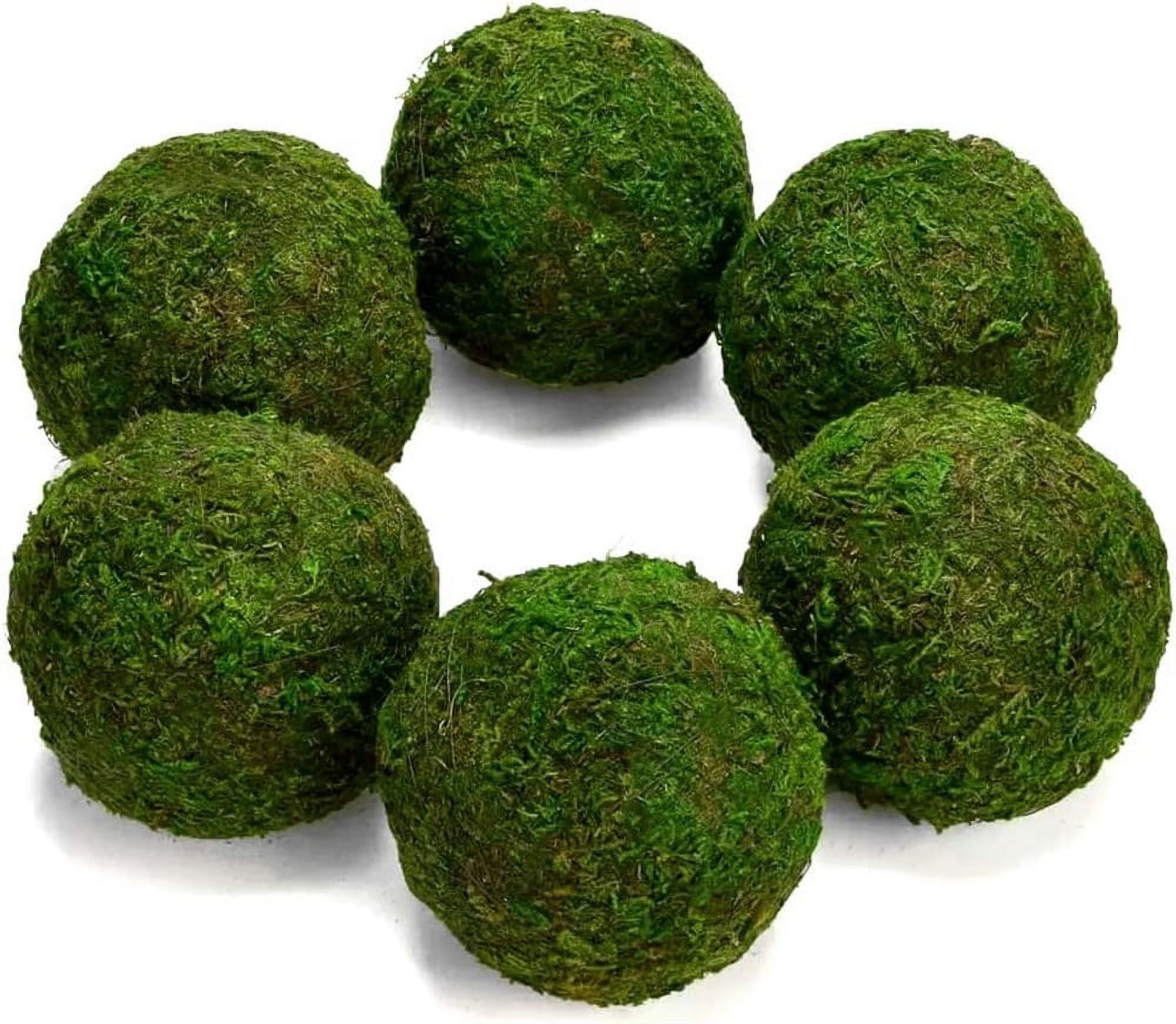 Duslogis Large Decorative Moss Balls, 6 Pcs 3.5" Green Dried Moss ...