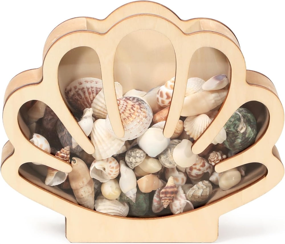 Duslogis Wooden Seashell Display Case with Acrylic Window, Sea Shell ...