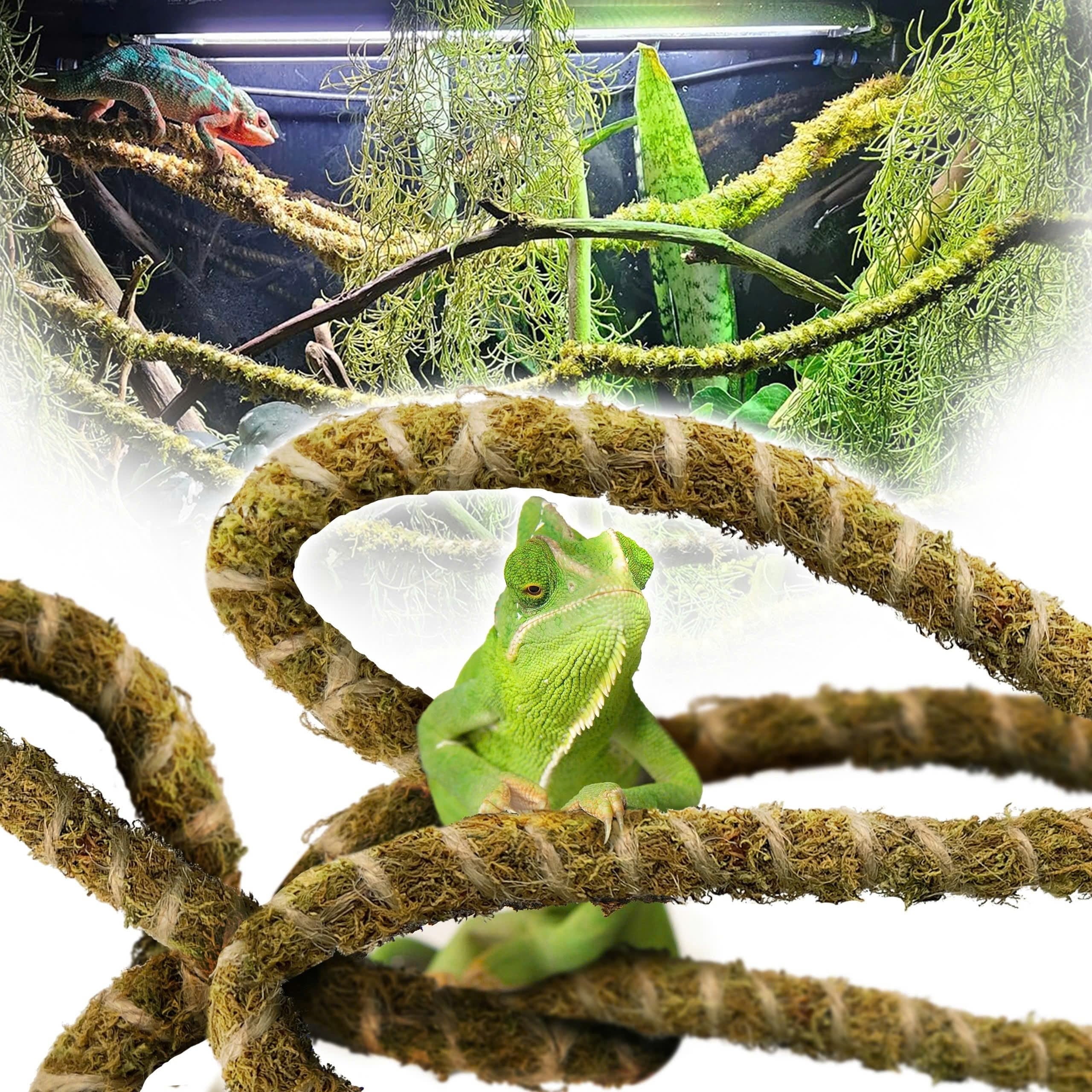 Duspro 10FT Reptile Vines for Climbing Bendable Branch for Reptile ...