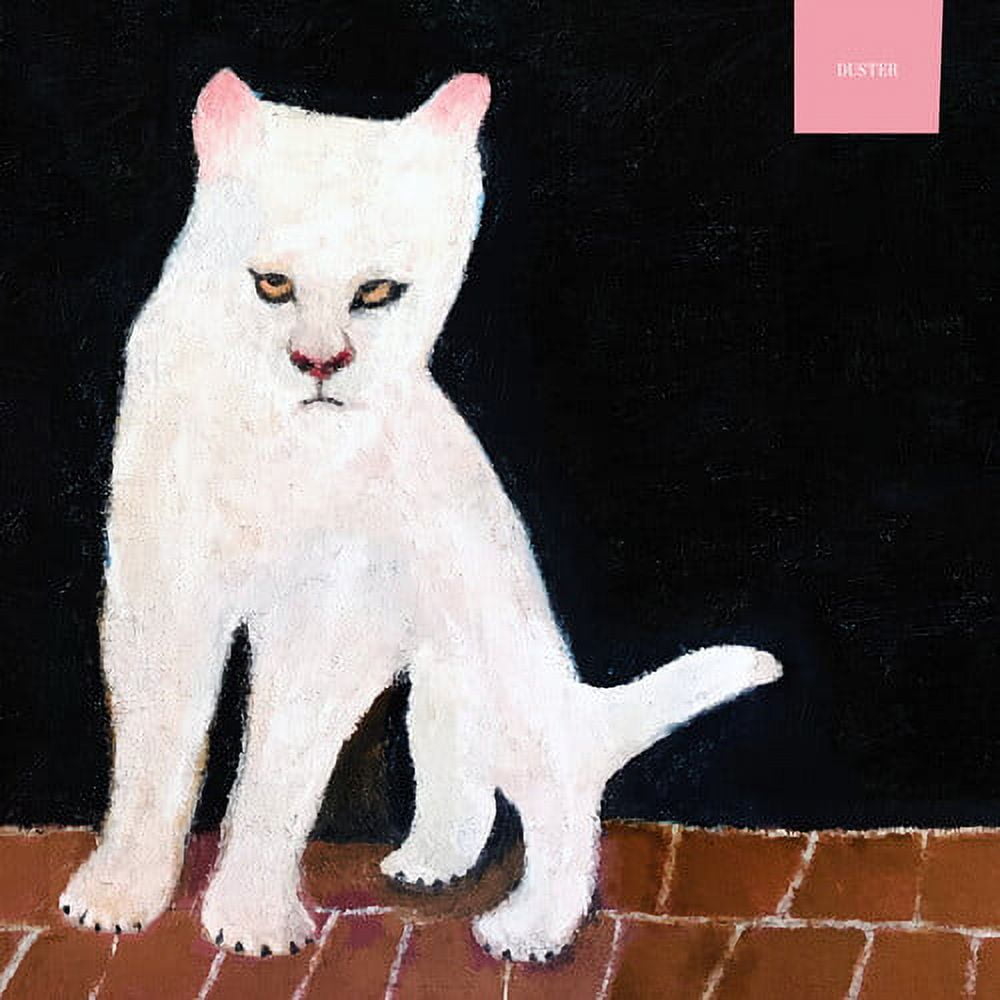 Duster - Duster - Seaglass Wave - Music & Performance - Vinyl - Walmart.com