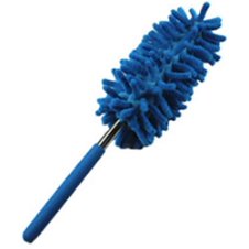 Webster Brush