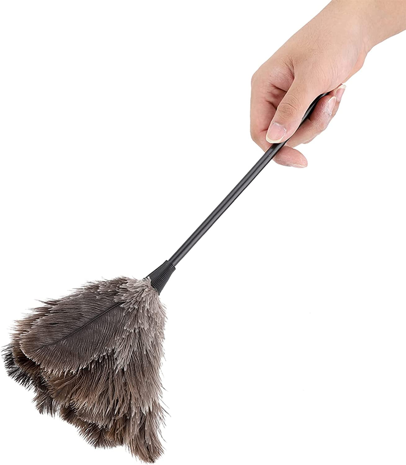 Duster, Washable Ostrich Feather Duster, Mini Feather Duster, Ostrich ...