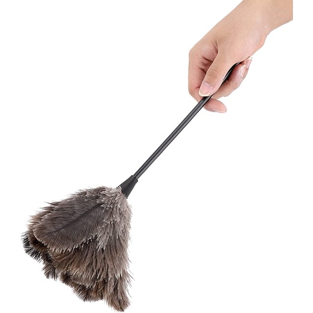 Duster, Washable Ostrich Feather Duster, Mini Feather Duster, Ostrich ...
