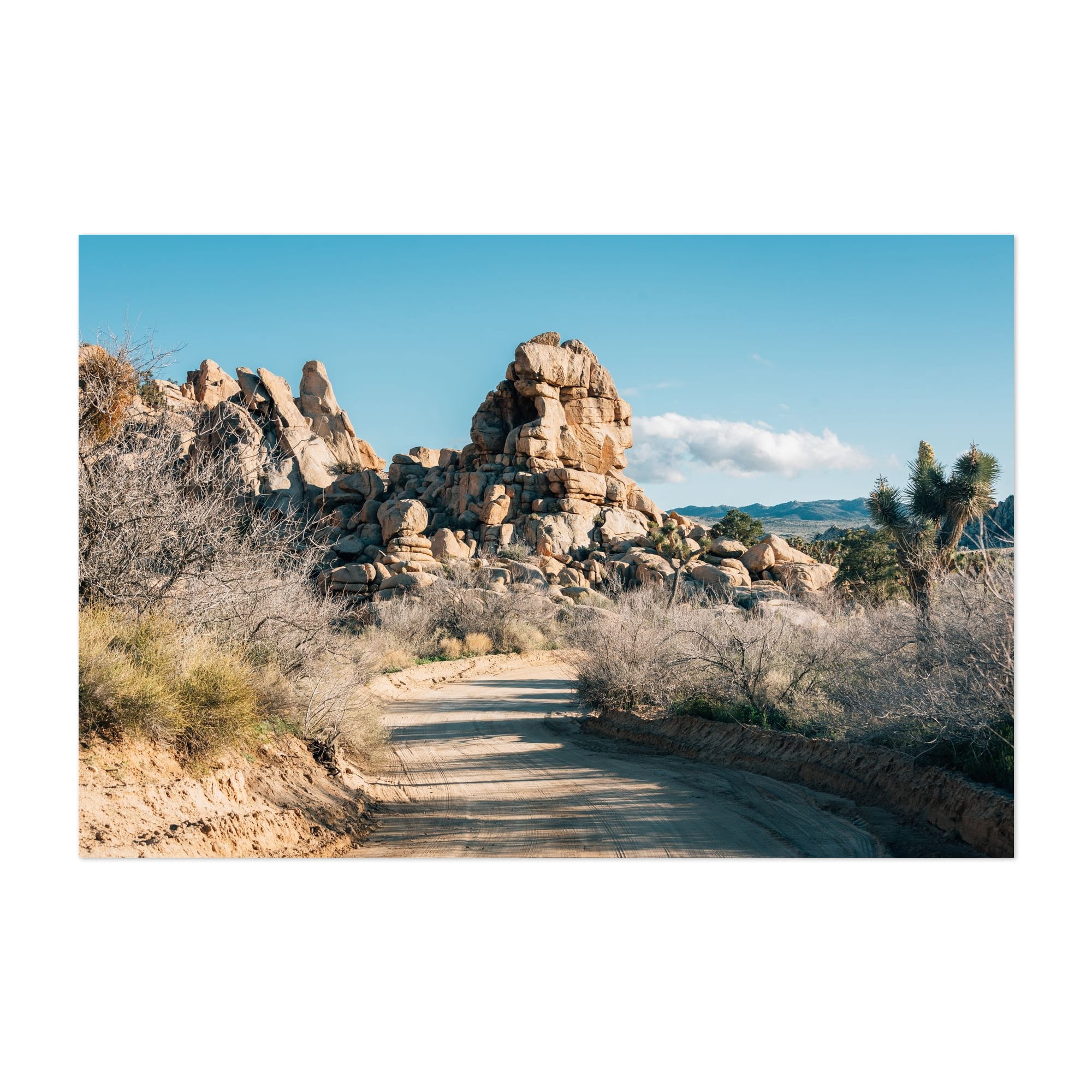 Dusty Road, Joshua Tree 01 - Joshua Tree California Photography Desert ...