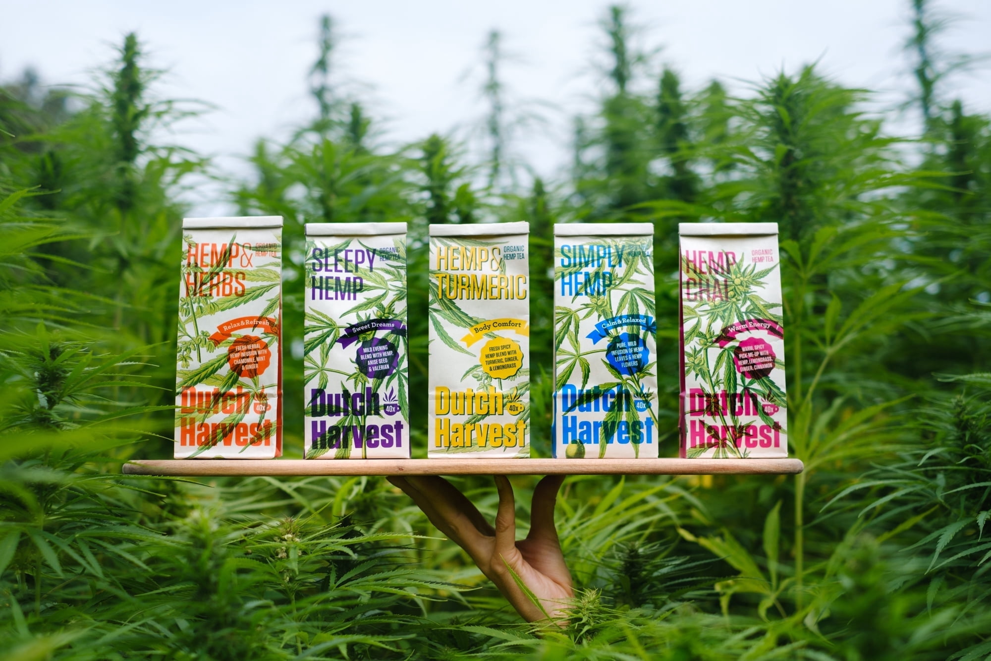 Dutch Harvest Hemp Tea Variety Pack, 5 Flavors - 5 packs, 40 cups each ...