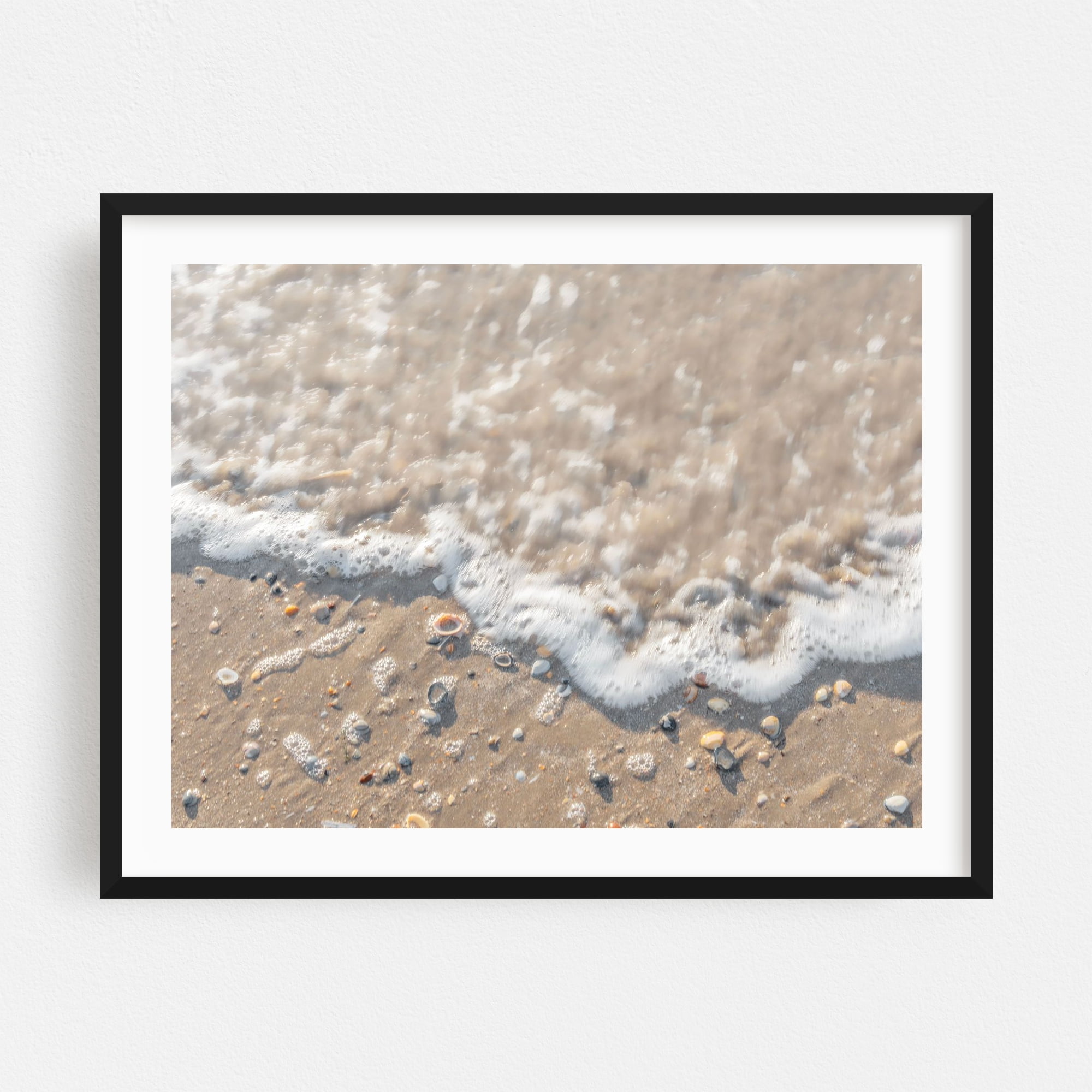Dutch Seashells - Wijk aan Zee North Holland The Netherlands ...