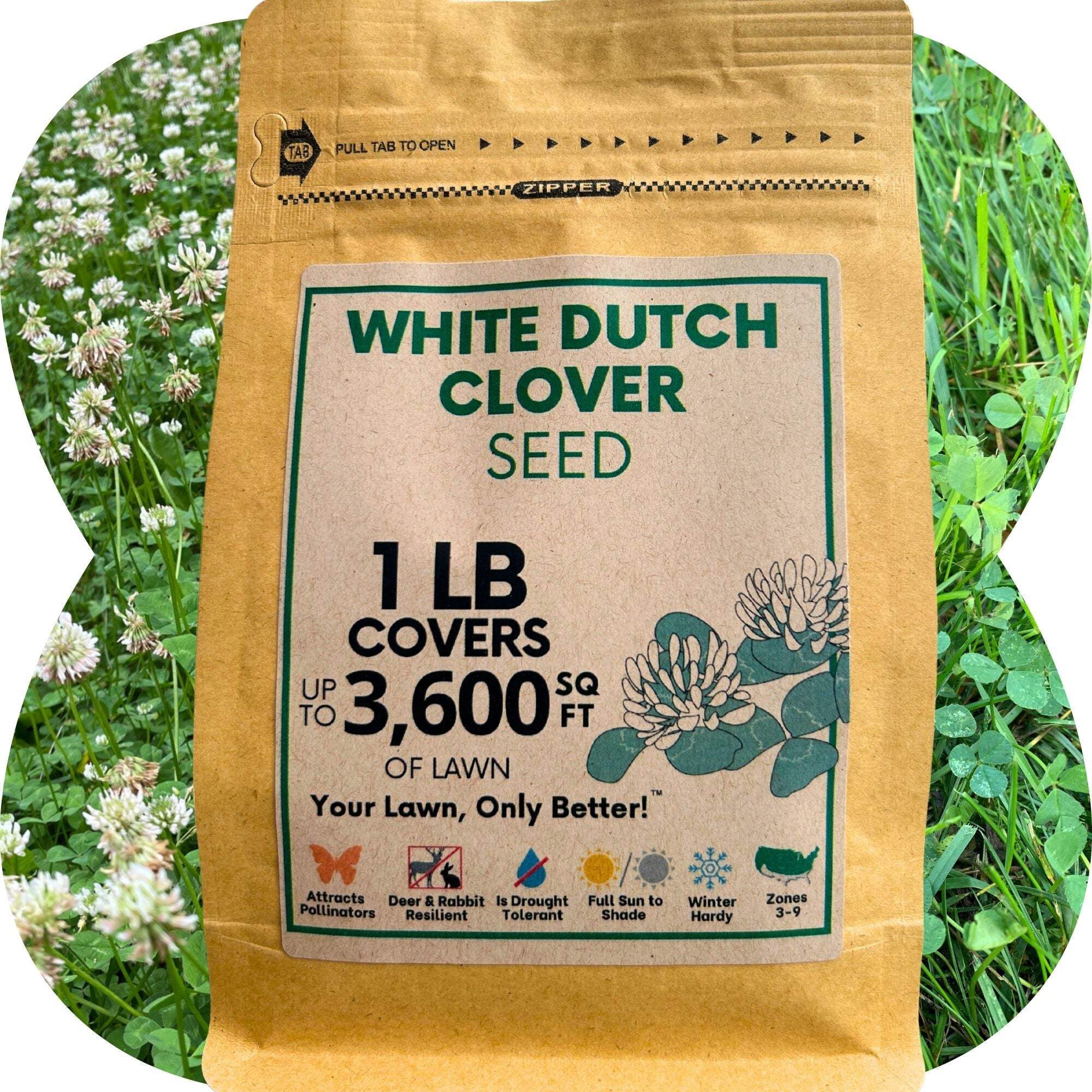 Flawn Seed Kits 1 lb, Dutch White Clover Organic Coated, Non-GMO ...