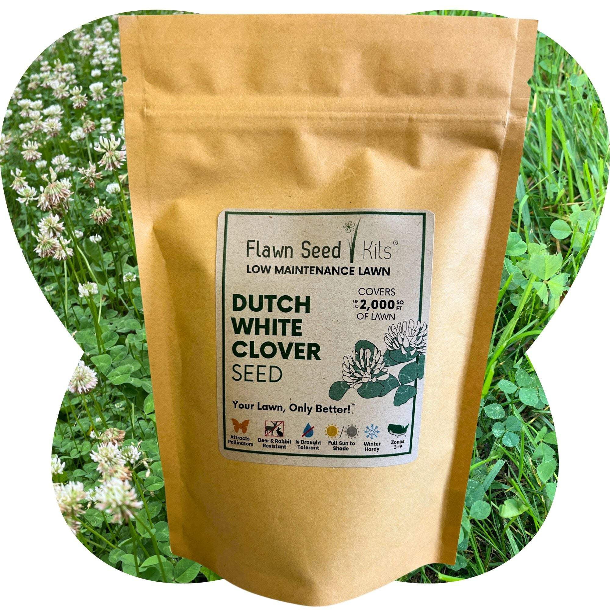 Dutch White Clover Seed - Walmart.com