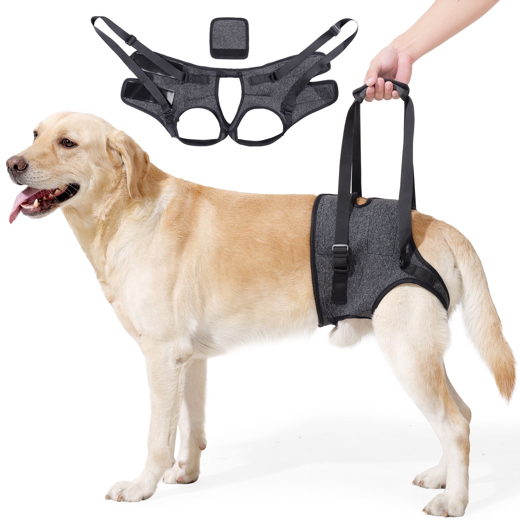 Duuclume Dog Lift Harness for Small Medium Large Dogs, Adjustable Back ...