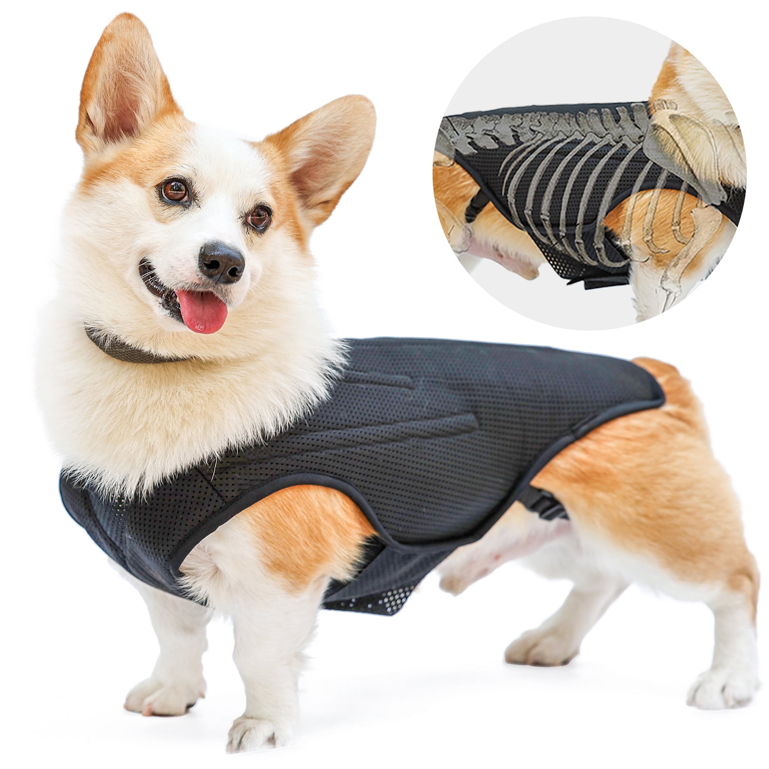 Duuclume IVDD Back Brace for Dogs, Pet Dachshund Back Supporting Vest ...