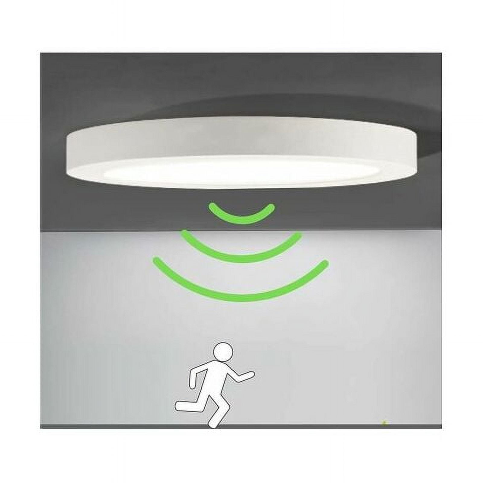 Duulaya LED Ceiling Light Ceiling Light LED Ceiling Light with Motion ...