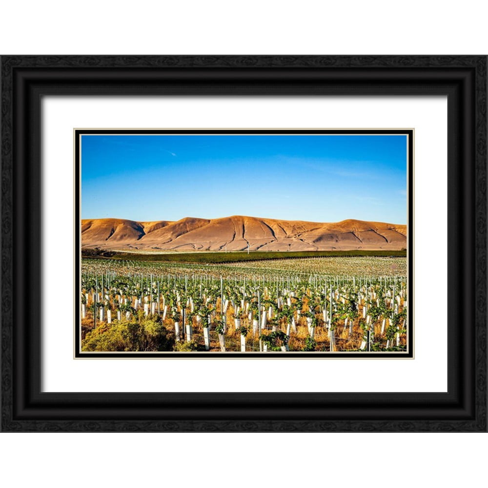 Duval, Richard 14x11 Black Ornate Wood Framed with Double Matting ...