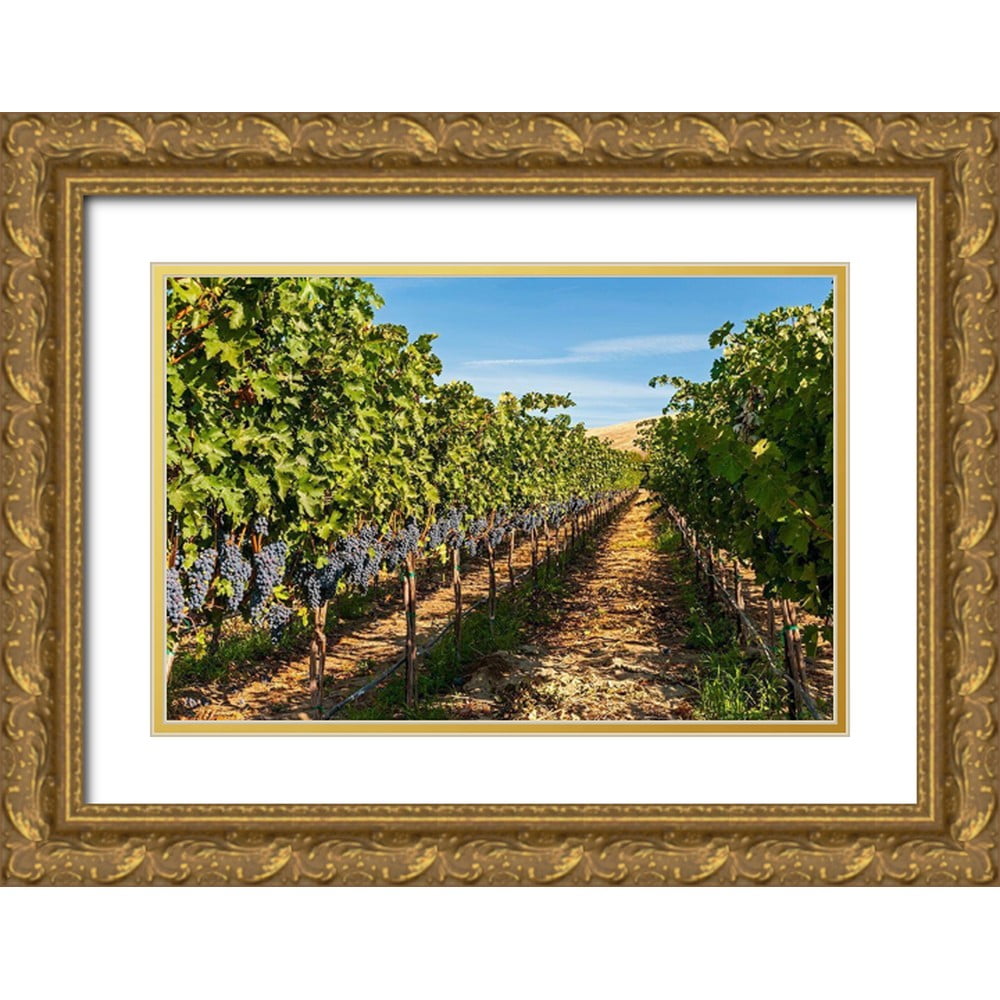 Duval, Richard 24x17 Gold Ornate Wood Framed with Double Matting Museum ...