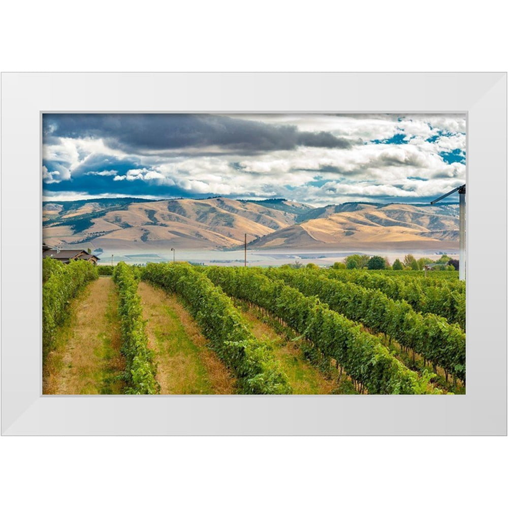 Duval, Richard 32x23 White Modern Wood Framed Museum Art Print Titled ...