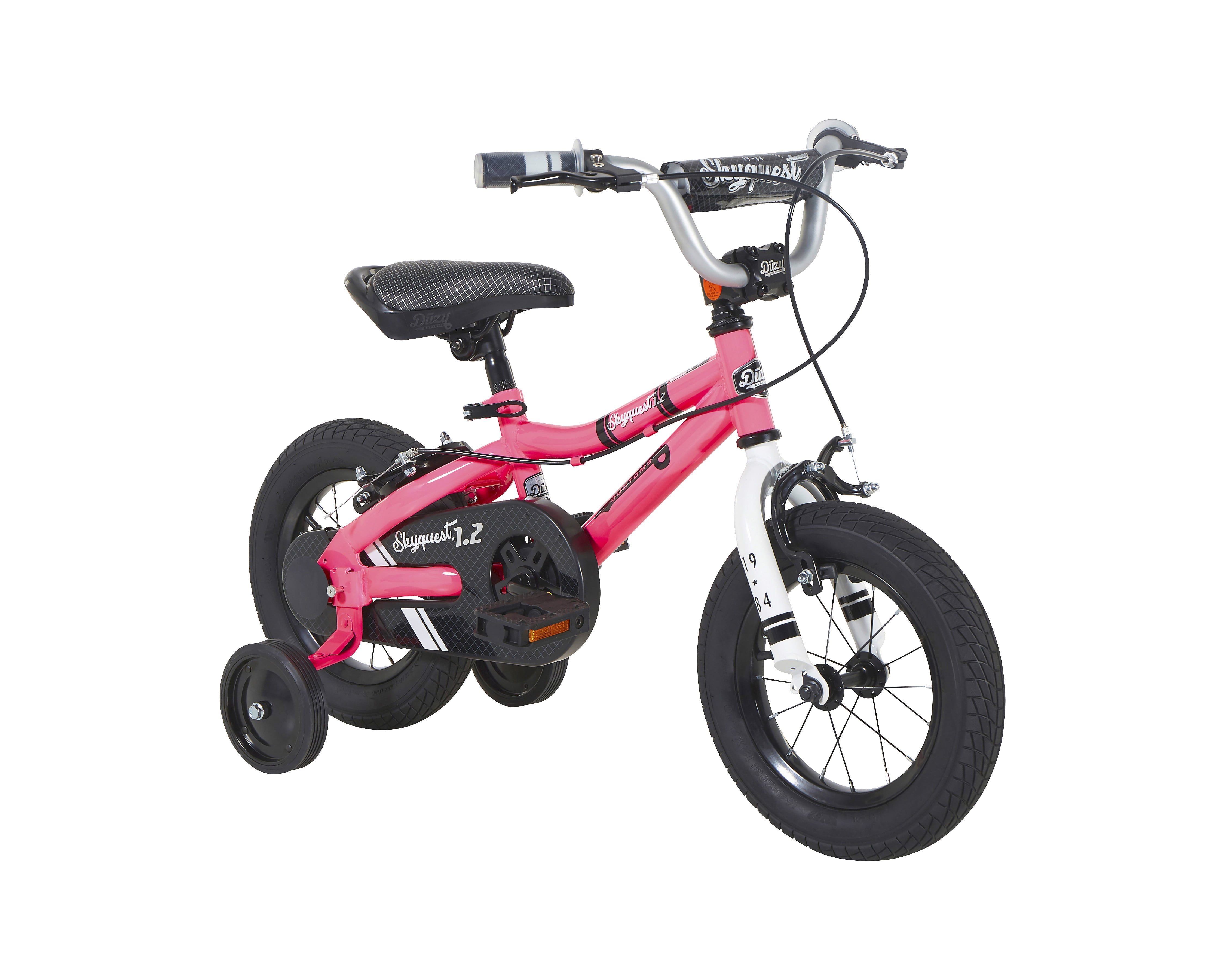Free Shipping! Duzy Customs 12-inch Pink Kids Bike with Five Minute ...
