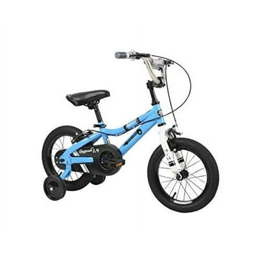 JOYSTAR Fairy Girls Bike for Toddlers and Kids Ages 3-5 Years Old Kids ...