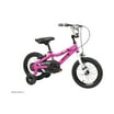 Free Shipping! JOYSTAR Paris Girls Bike for Toddlers and Kids 3-5 Years ...