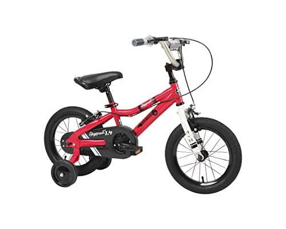 Free Shipping! Duzy Customs 14’’ Red Kids Bike with Five Minute Quick ...