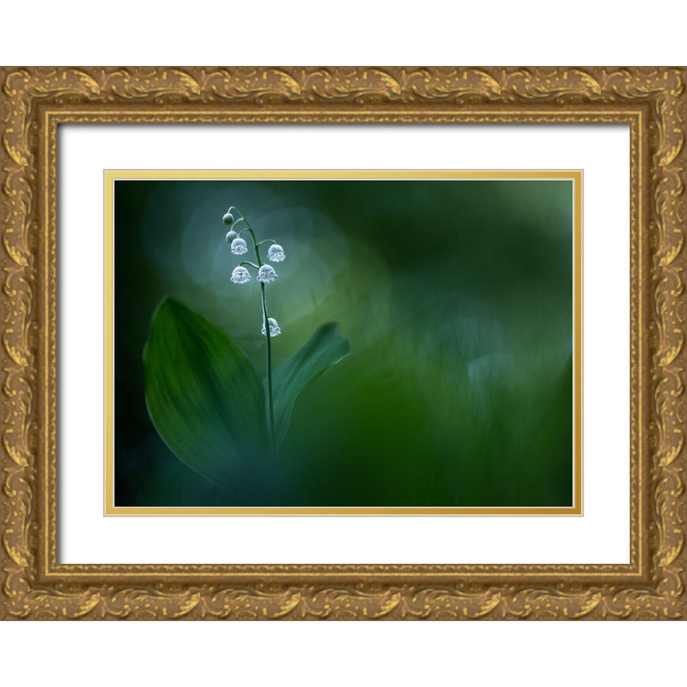Dvorak, Petra 14x11 Gold Ornate Wood Framed with Double Matting Museum ...