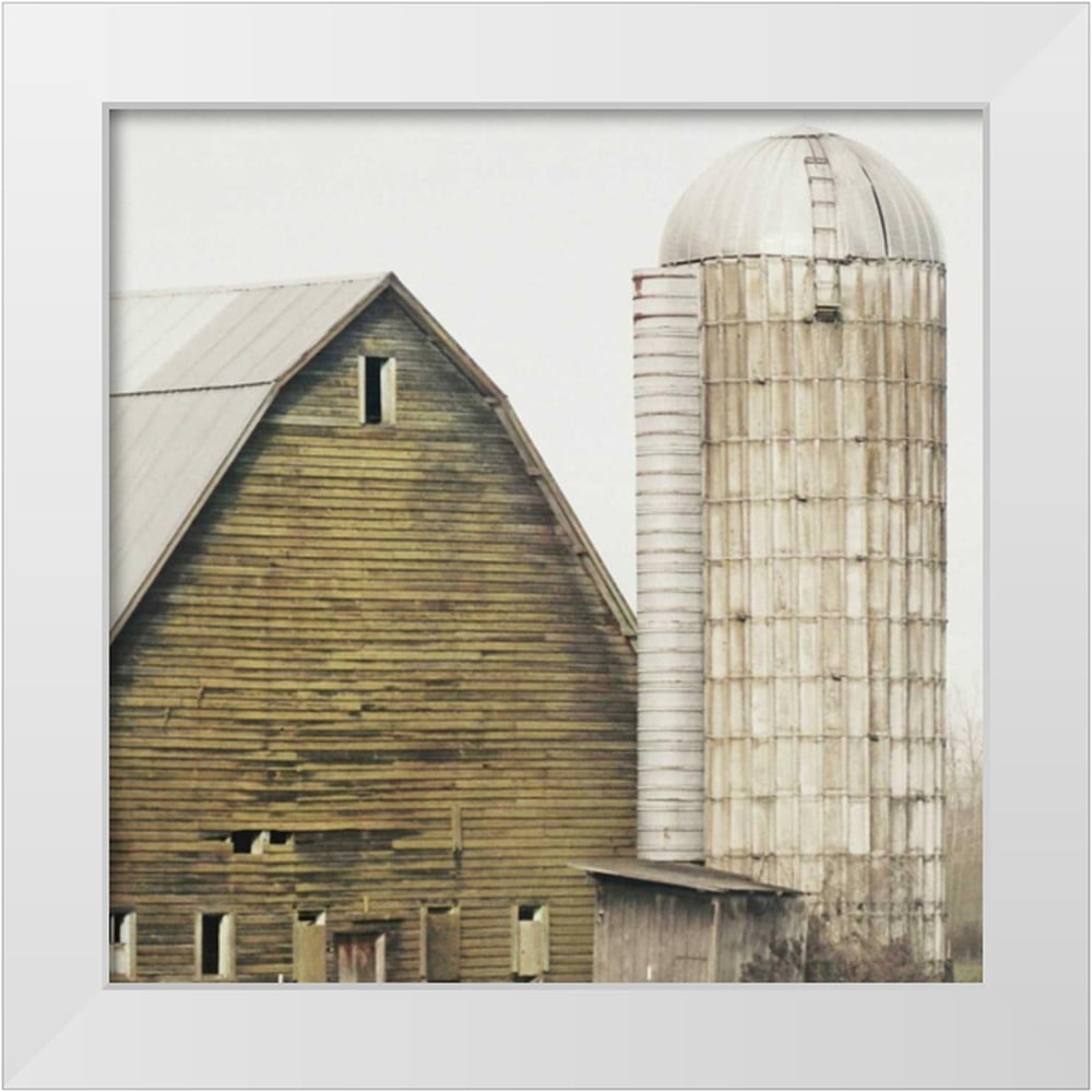Dvorak, Vicki 20x20 White Modern Wood Framed Museum Art Print Titled ...