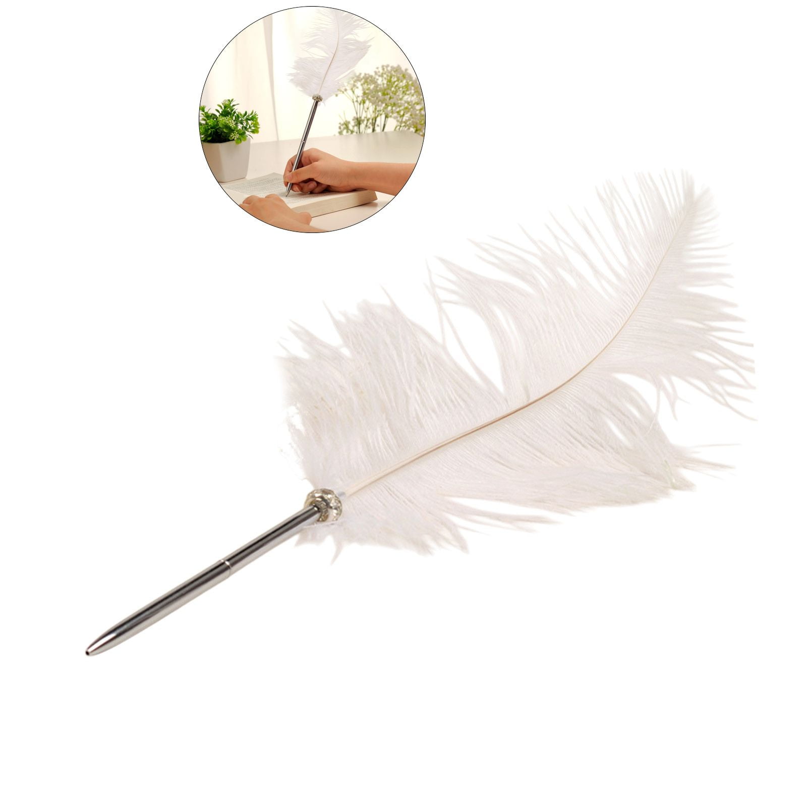 Dvruxg Feather Quill Pen for Weddings, Birthdays & Events - Stainless ...