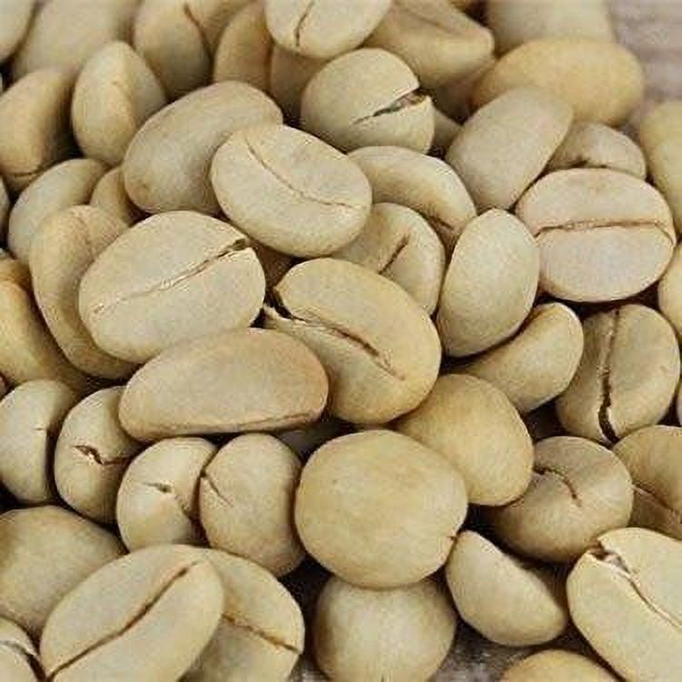 Dwarf Coffee Plant Seeds (Coffea Arabica Nana) Packet of 5 Seeds C21 ...