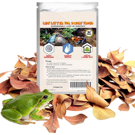 Dwarf Frog Mini Catappa Leaves (50 Pc) - Tannin Helps Remove Ammonia ...