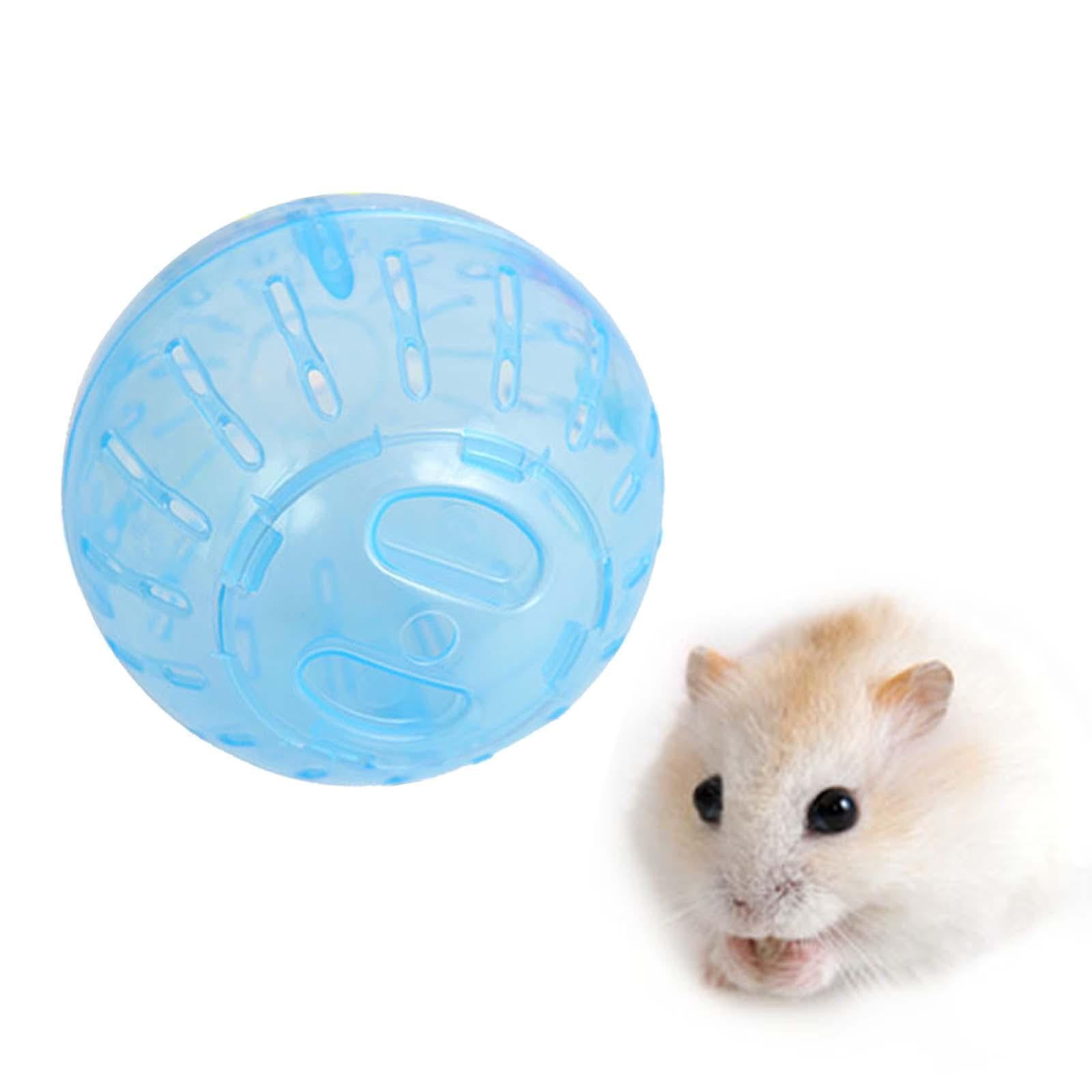 Dwarf Hamster Exercise Ball, Small Hamster Ball, Cute - Walmart.com
