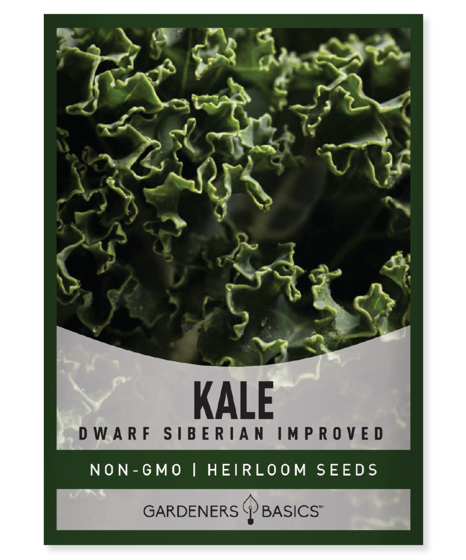 Dwarf Siberian Improved Kale Seeds - Walmart.com