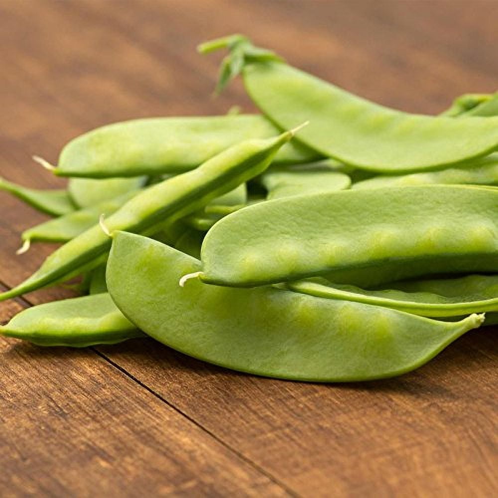 Dwarf Sugar Grey Snow Pea Garden Seeds - 5 Lbs - Non-GMO, Heirloom ...